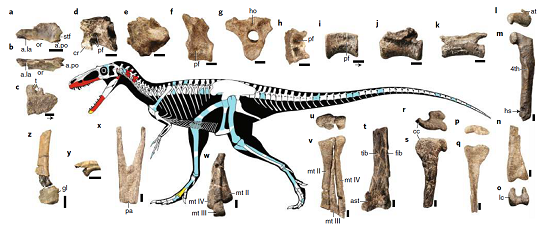 蝌蚪五线谱 - 专注做权威、有趣、贴近生活的互联网科学传播
