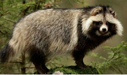 蝌蚪五线谱 - 专注做权威、有趣、贴近生活的互联网科学传播