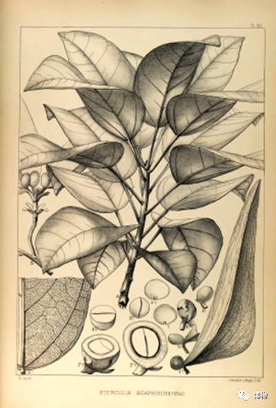 蝌蚪五线谱 - 专注做权威、有趣、贴近生活的互联网科学传播