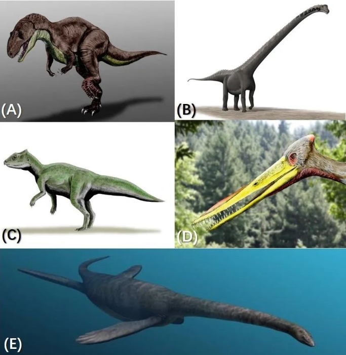 蝌蚪五线谱 - 专注做权威、有趣、贴近生活的互联网科学传播